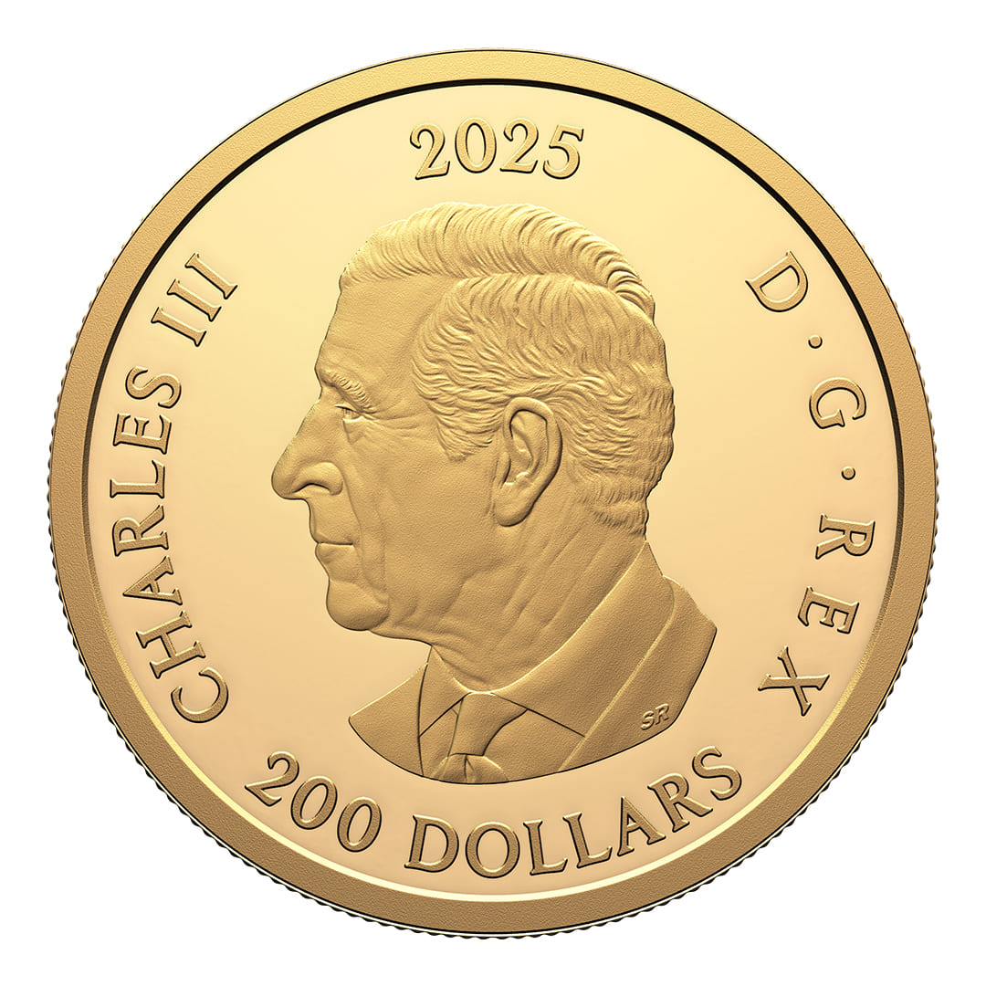 Triple Maple Leafs 1 oz Gold & 5 oz Silver Bundle – The Scoin Shop